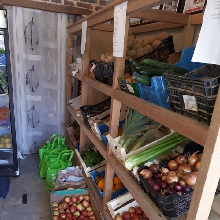 Transition : Terre W Art - Ecolo Marche-en-Famenne